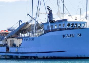 KAMI M (VID: 4197) | Record of Fishing Vessels